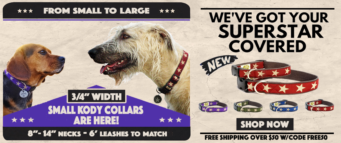 Eco Friendly | Hemp Products | Dog Collars Made in the USA